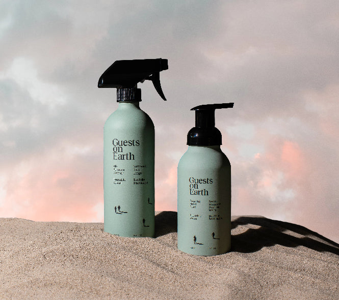 Benefits of Spring Cleaning: History, Health, and Well-Being – Guests ...
